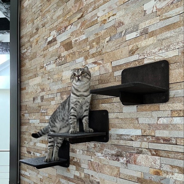 Cat Walk Furniture - Etsy