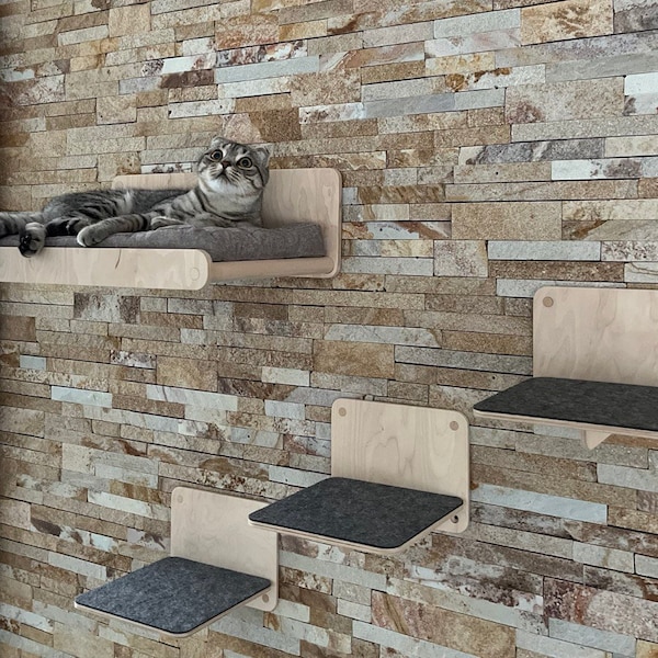 Wall Mounted Cat Shelves - Etsy