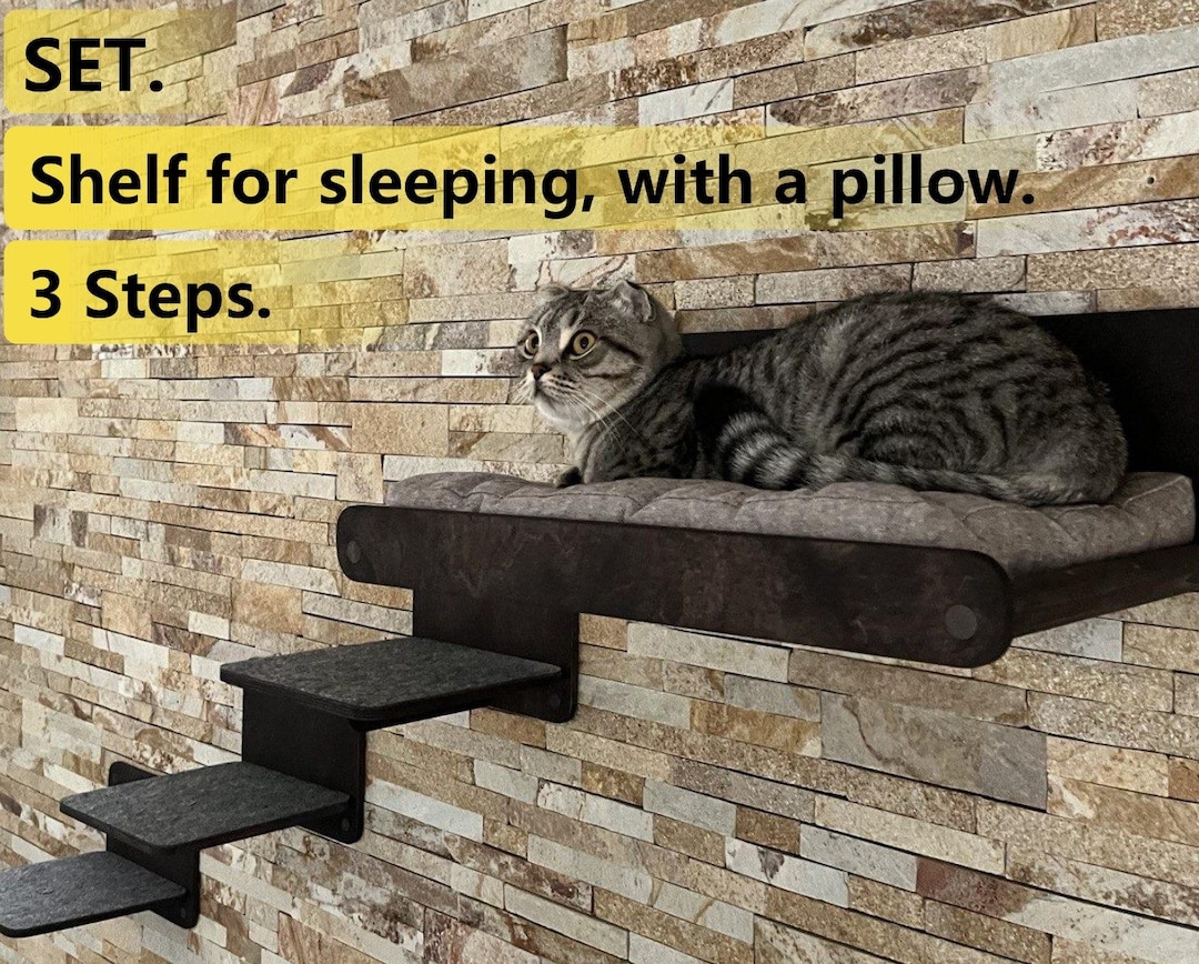 Set for Cats Modern Cat Shelf With Cat Pillow With 3 Cat Steps Cat Wall ...