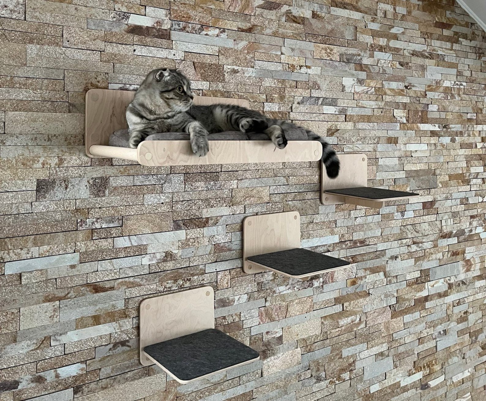 Set for Cats Modern Cat Shelf With Cat Pillow With 3 Cat Steps Cat Wall ...