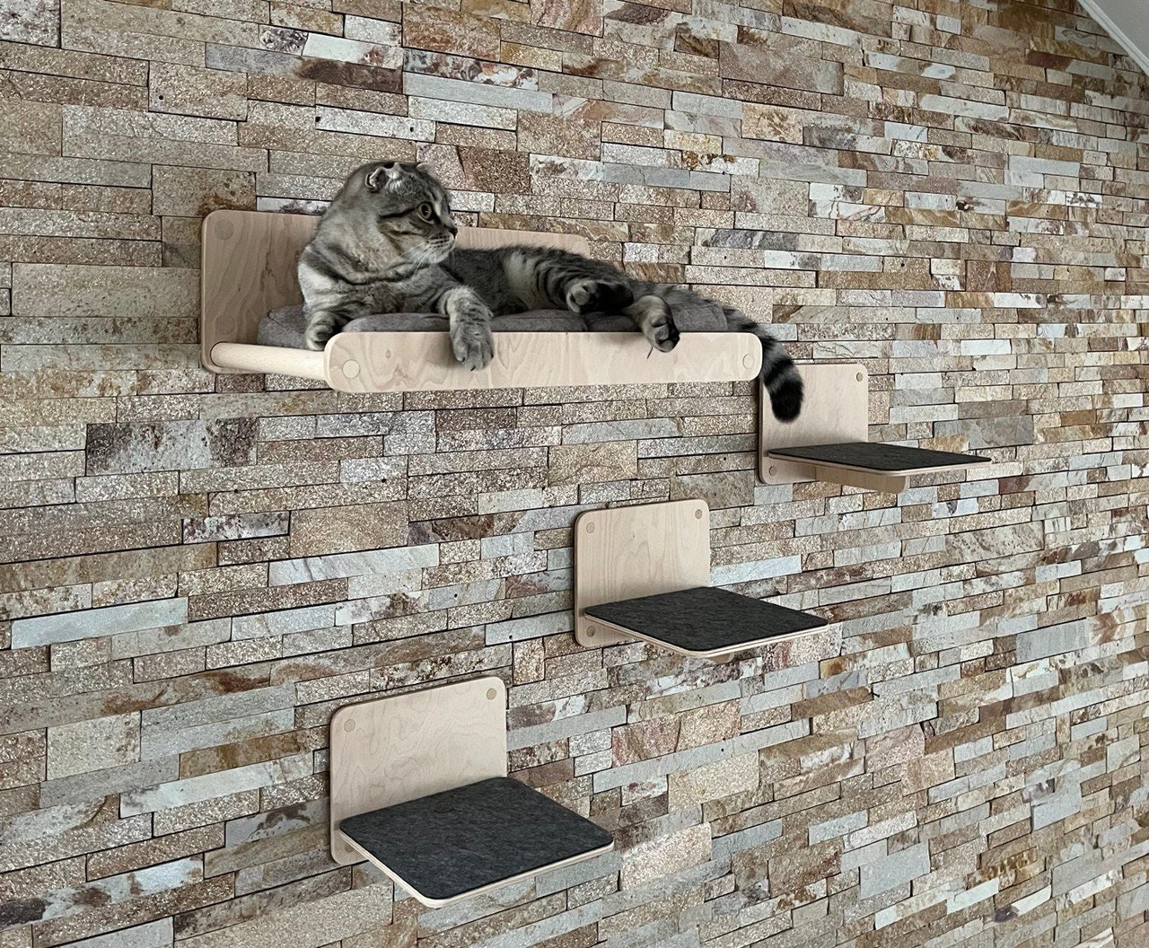 Set for Cats Modern Cat Shelf With Cat Pillow With 3 Cat Steps Cat Wall ...