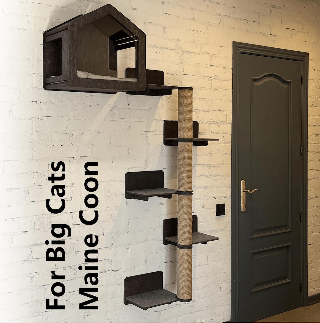 Big Cat House for Large Cats Cat House for Two Cats Extra Large Cat ...