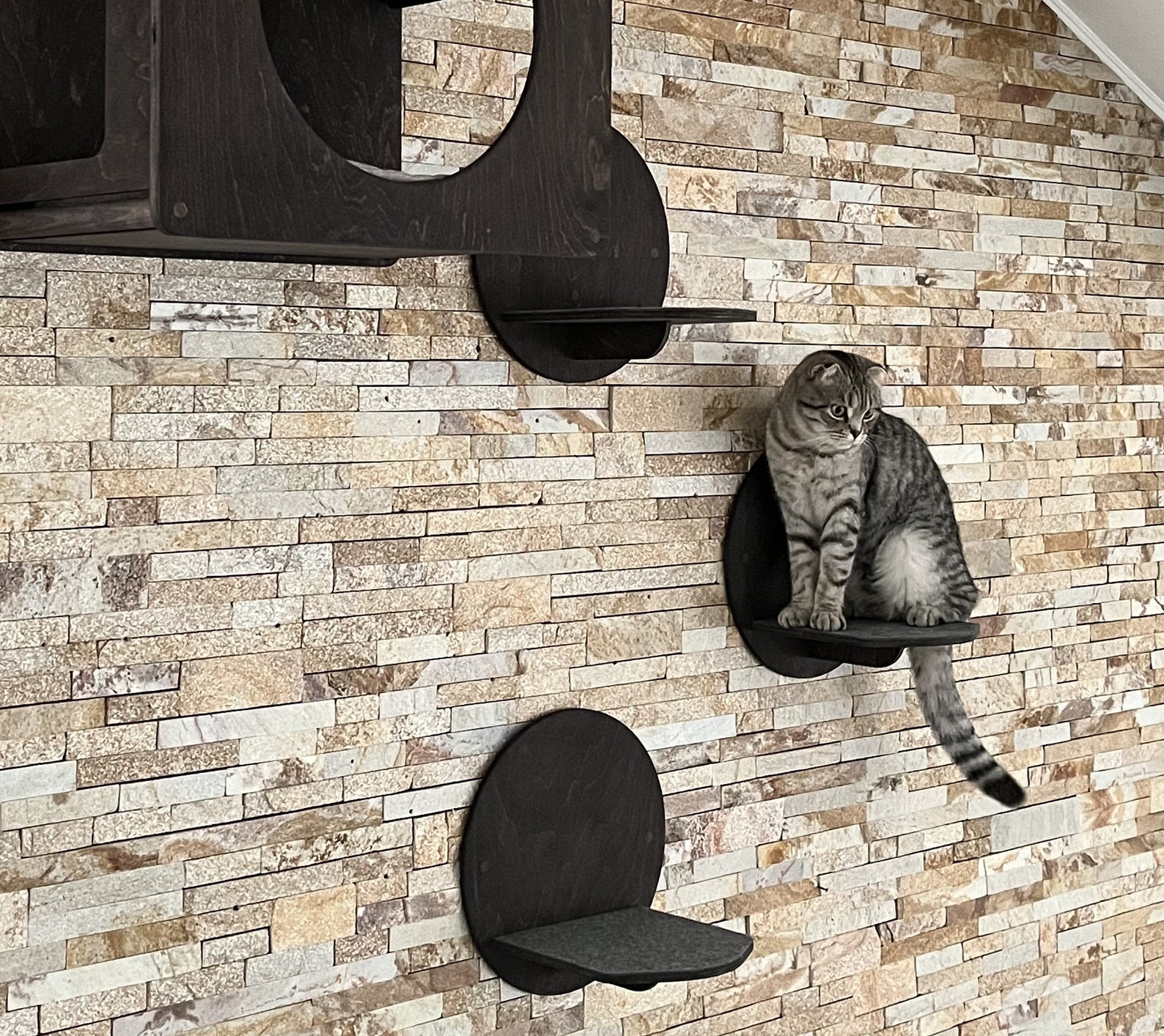 Cat House Modern Cat Tree Cats Steps Cat Wall Bed Cat Shelf - Etsy