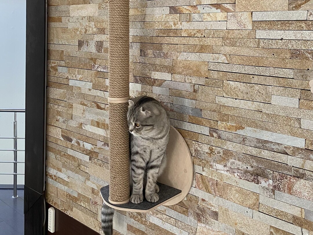 Cat Climbing Post Wooden Cat Tree Cat Scratcher Wall Cat Tree Tower for ...