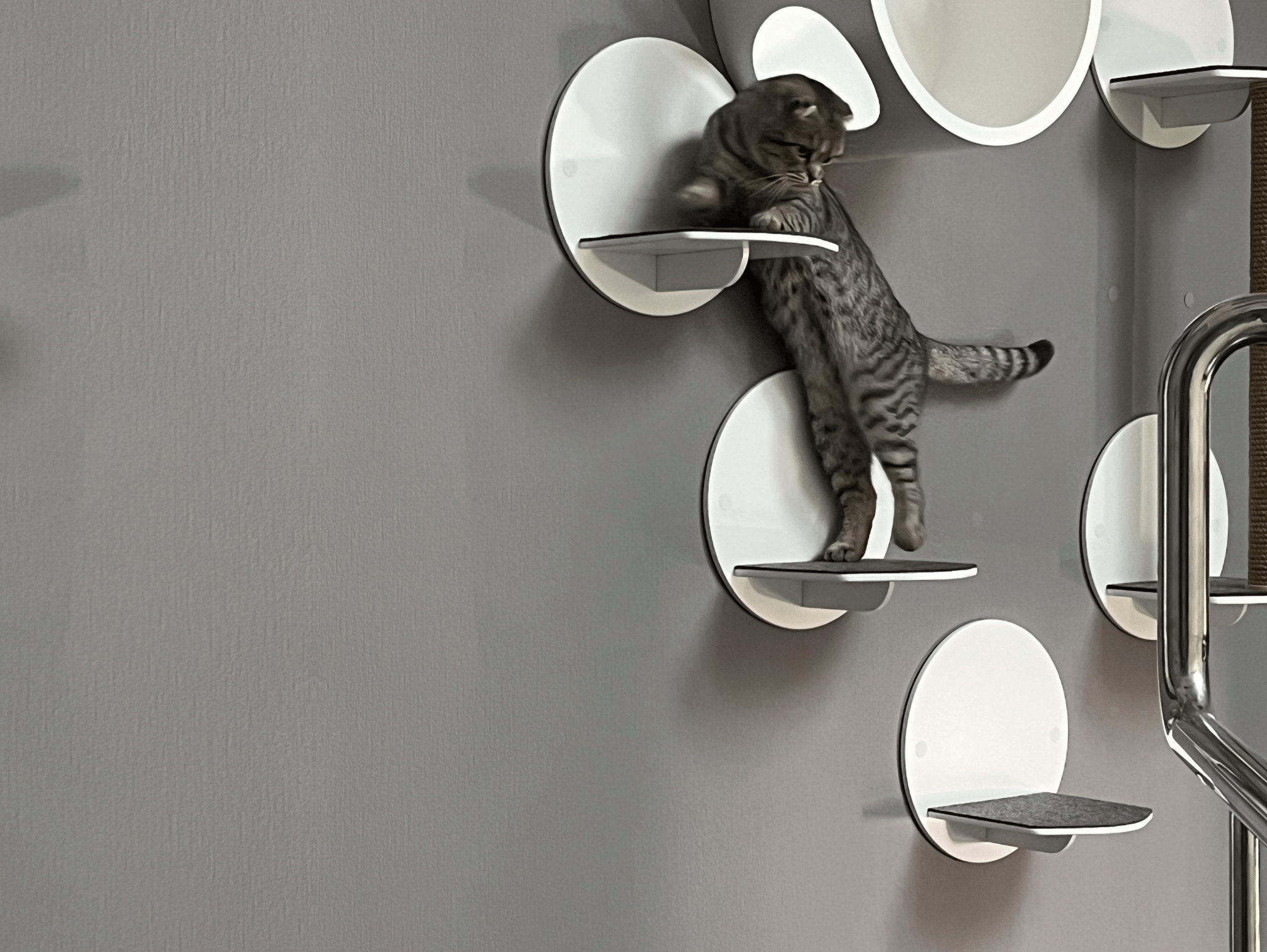 Cat Steps for Wall With Jute Rope Modern Cat Shelves for Wall Cat ...