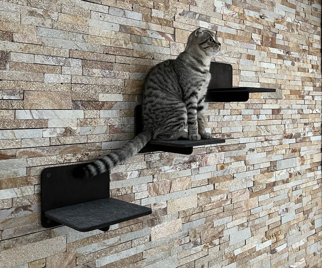 Set of Shelves for Cats Modern Cat Furniture Gift for Cat Lover Cat Mom ...
