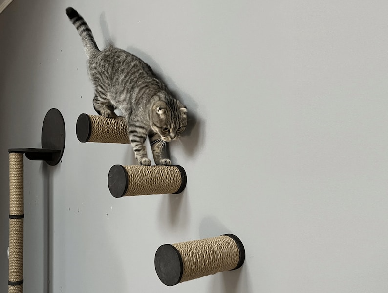 Cat Steps for Wall With Jute Rope Modern Cat Shelves for Wall Cat ...