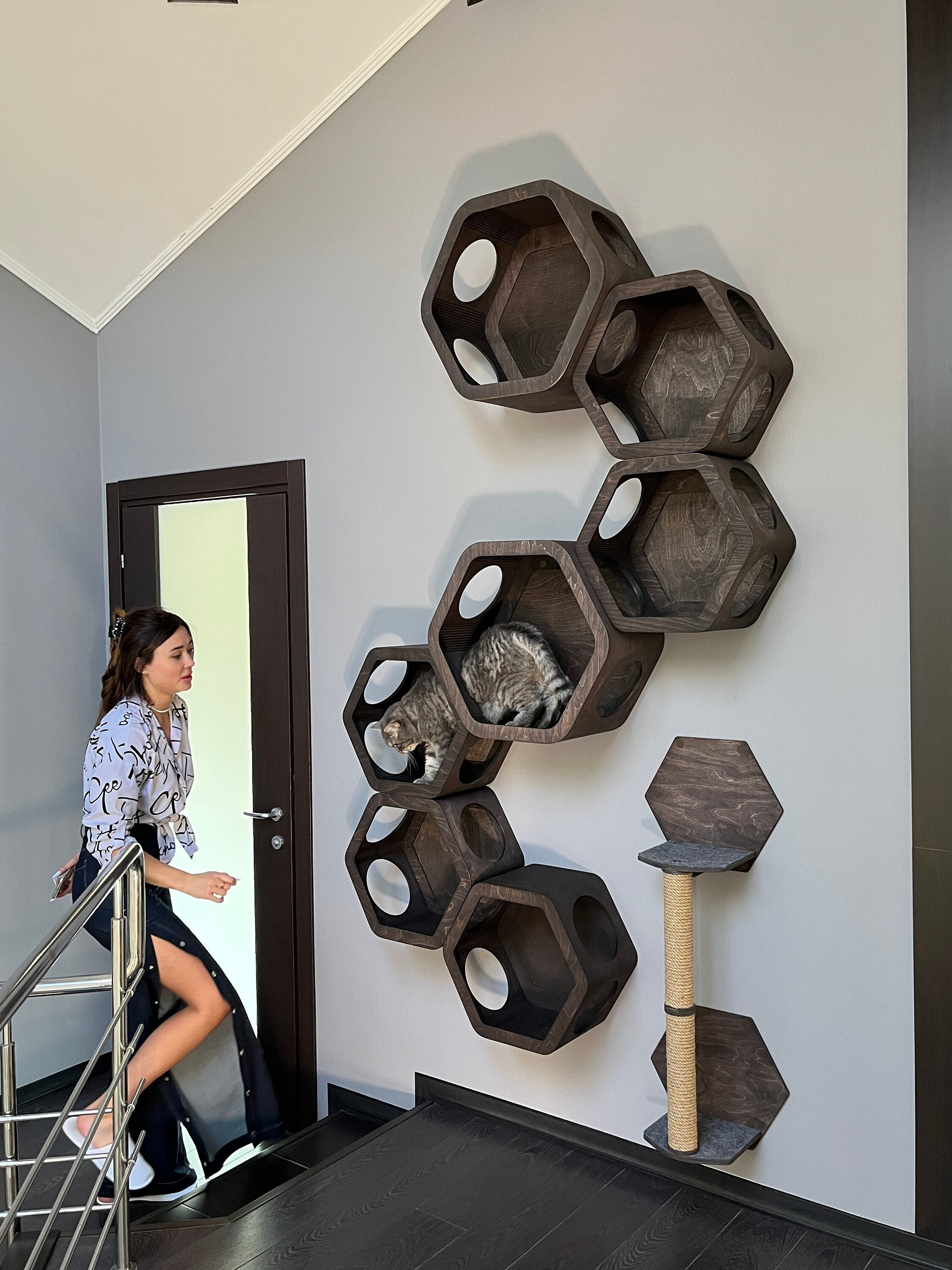 Cat Wall Furniture Hexagon Cat Wall House Cat Hexagon Shelves Cat Wall ...