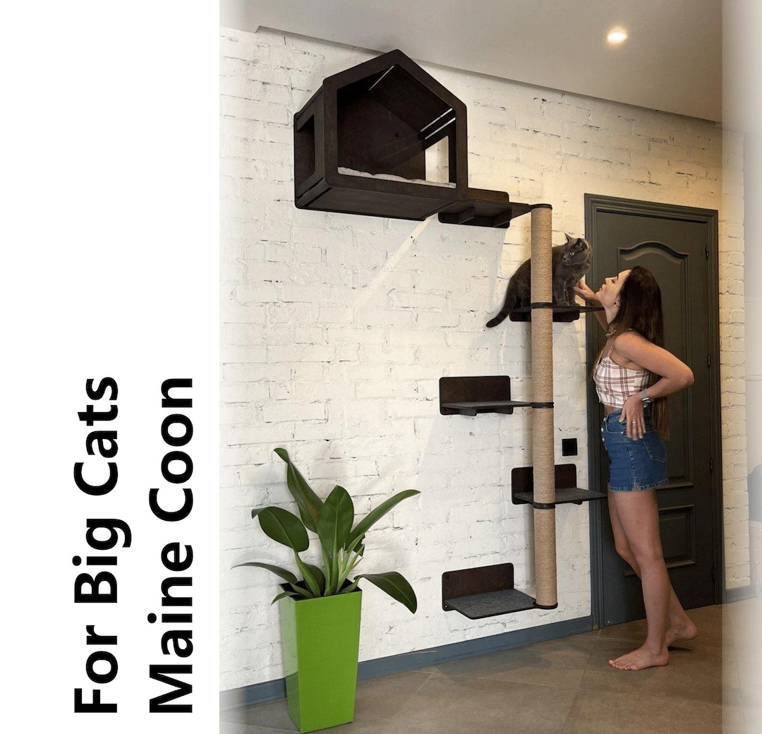 Cat Furniture for Large Cats, Maine Coon Cat Furniture, Large Cat Wall ...