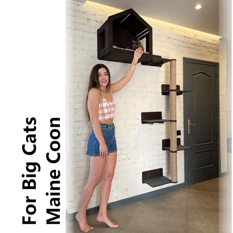 Floating Cat Toys - Etsy UK