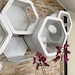 Cat Wall Furniture Hexagon Cat Wall House Cat Hexagon Shelves Cat Wall ...