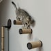 Cat Steps for Wall With Jute Rope Modern Cat Shelves for Wall Cat ...
