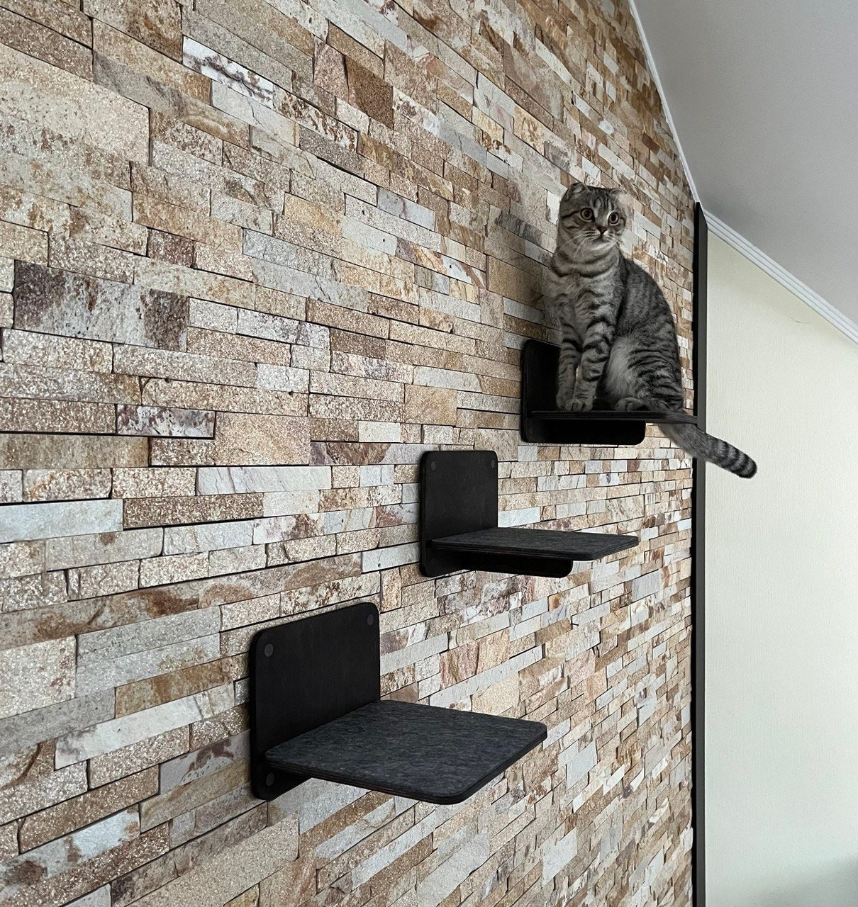 Set of 3 Steps Cat Steps Bed Pet Steps for Cat Steps for Wall - Etsy ...