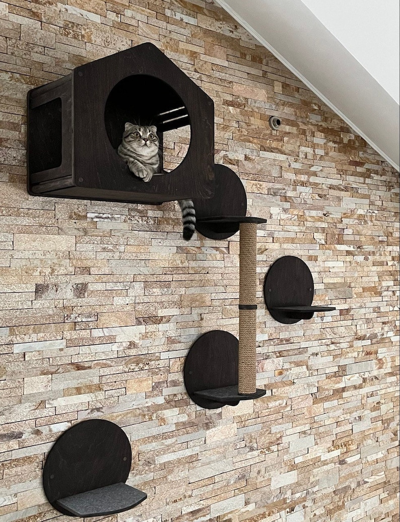 Cat House Modern Cat Tree Cats Steps Cat Wall Bed Cat Shelf - Etsy