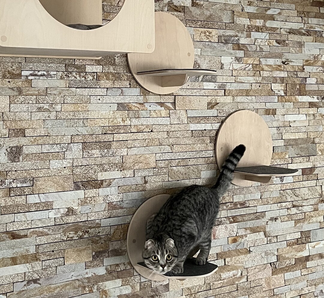 Wall Mounted Cat Shelves Set at Brodie Eldershaw blog