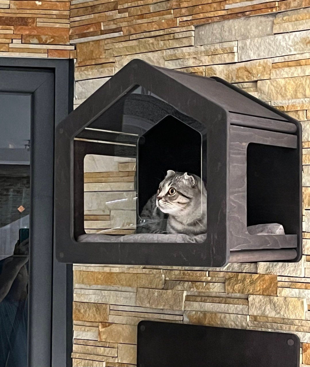 Modern Cat House Wooden Cat Furniture Indoor Cat House for Big Cat Wall ...