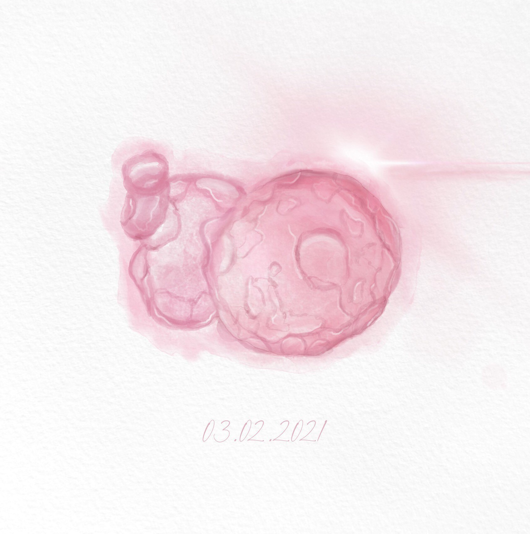 Custom IVF Embryo Watercolor Painting - Etsy