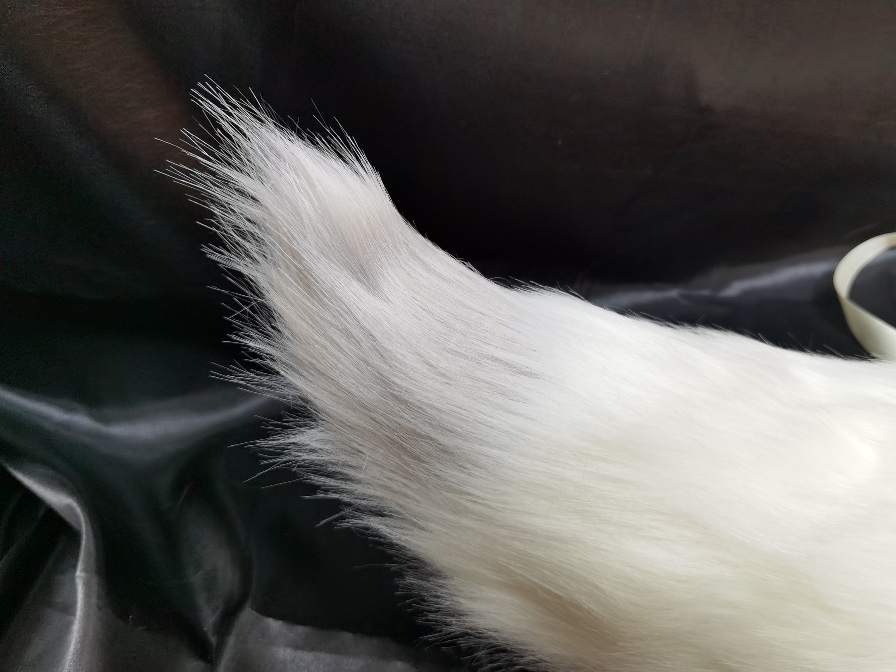 Luxury White Wolf Tail and Ears-white Fox Tail and Ears-faux | Etsy UK