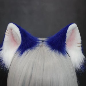 Multicolor Cat Ears and Tail Set,cute Kitten Ears and Tail Set,cat Ears ...