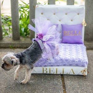 Personalization Pet Tutu, Dog, Cat ,birthday Tutu, Gotcha Day, Pet Gift ...