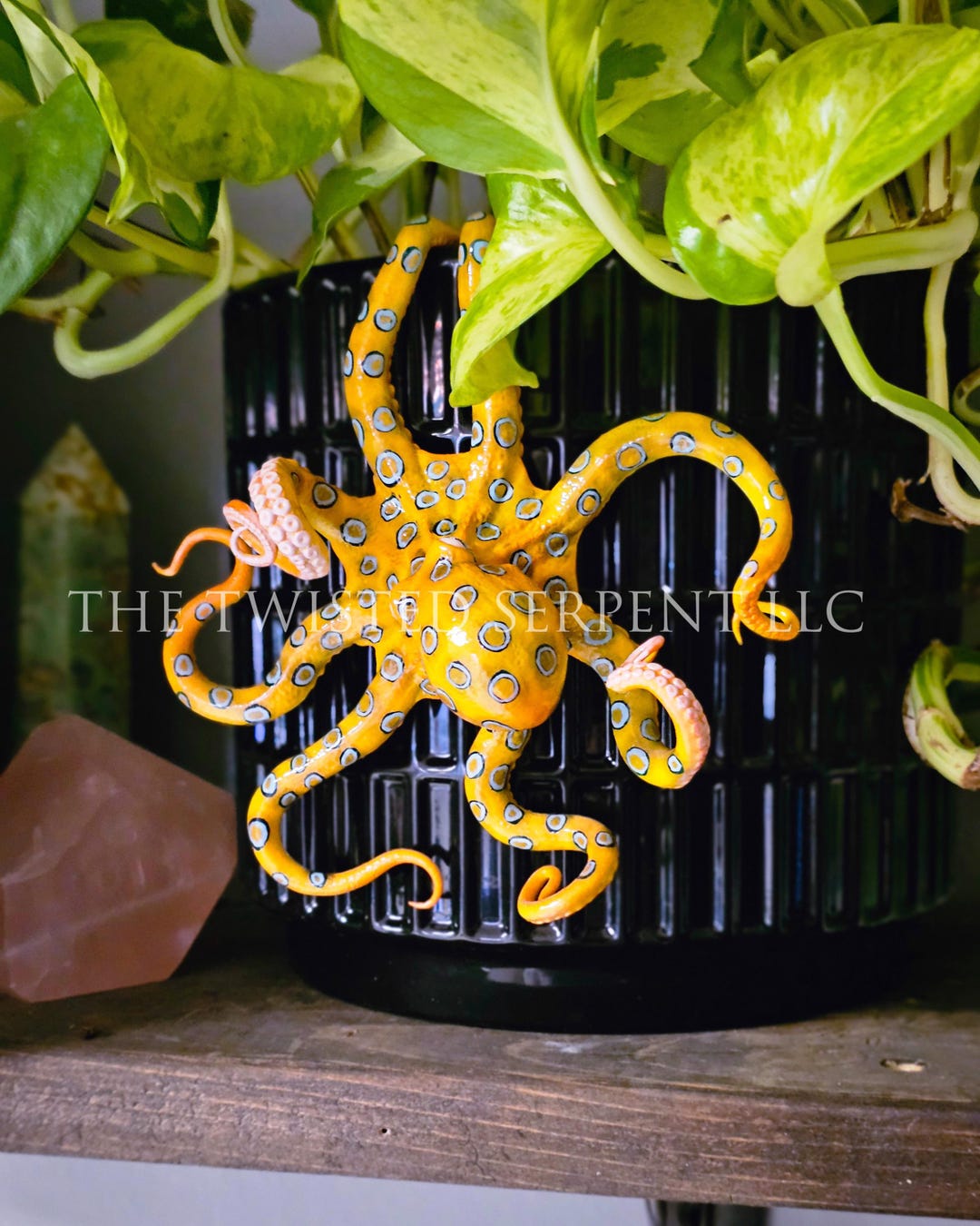 Blue Ring Octopus Pot Pal Figurine | Hand Painted | House Plant Pot ...
