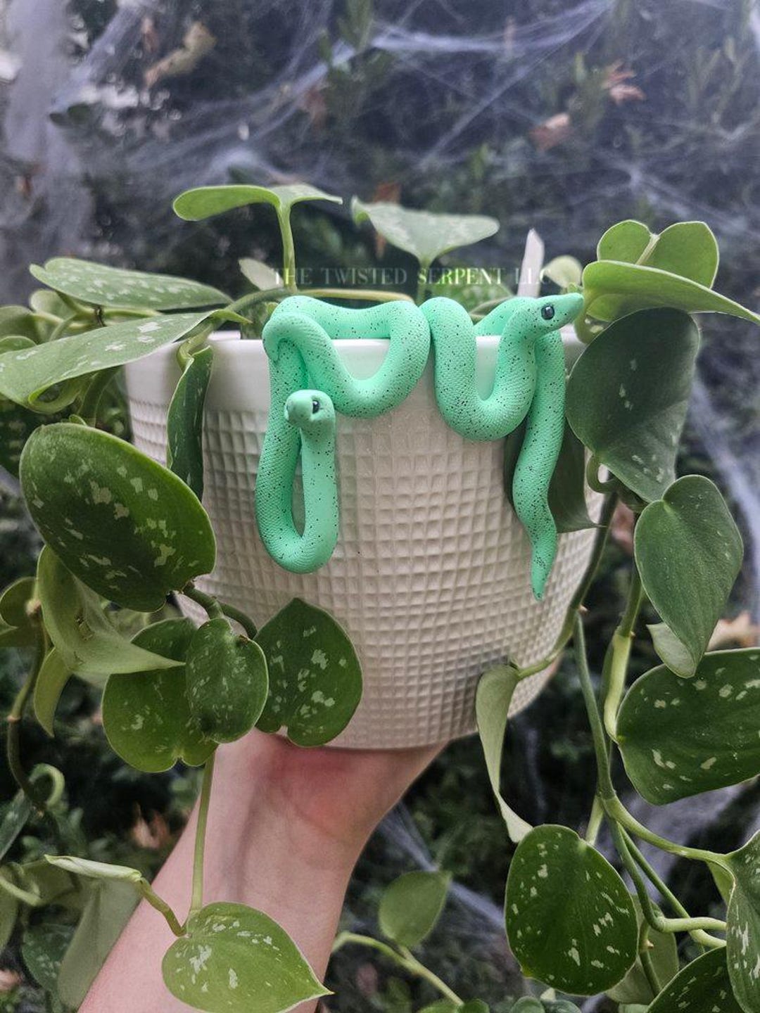 Mint Chocolate Chip - Etsy