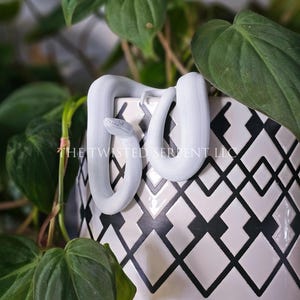 DIY Ball Python Pot Pal Kit | Handmade Reptile Craft Gift - Etsy