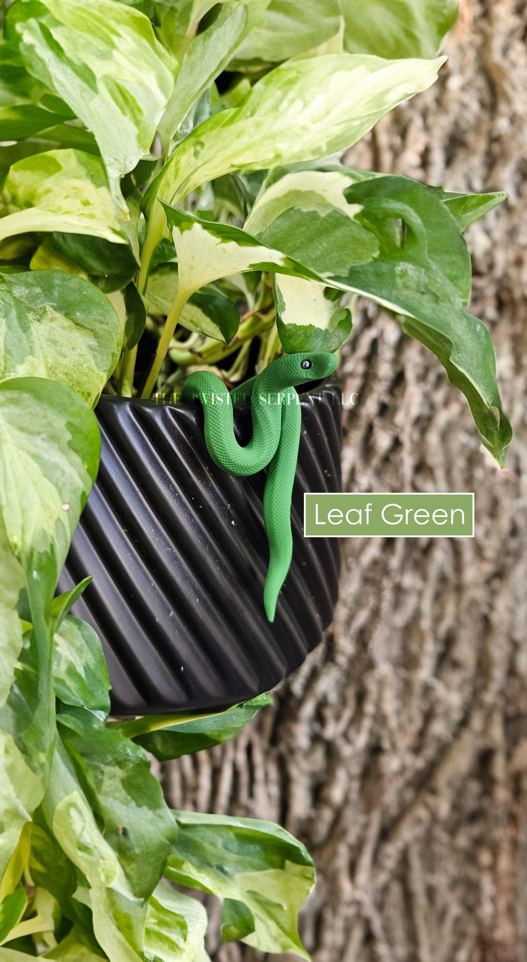 Classic Pot Pal | Handmade Polymer Clay Reptile Decoration - Etsy