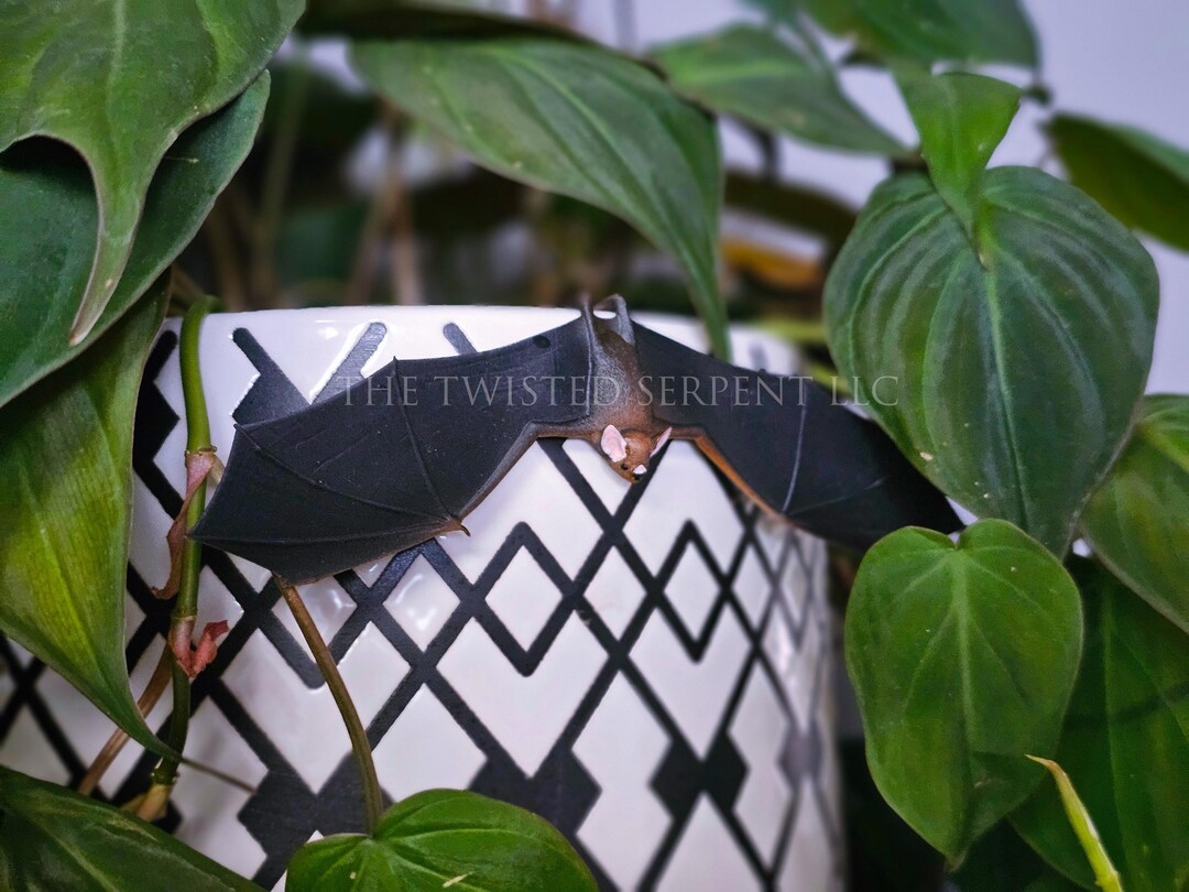 Vampire Bat Pot Pal | Original Creator EST. 2020 - Etsy