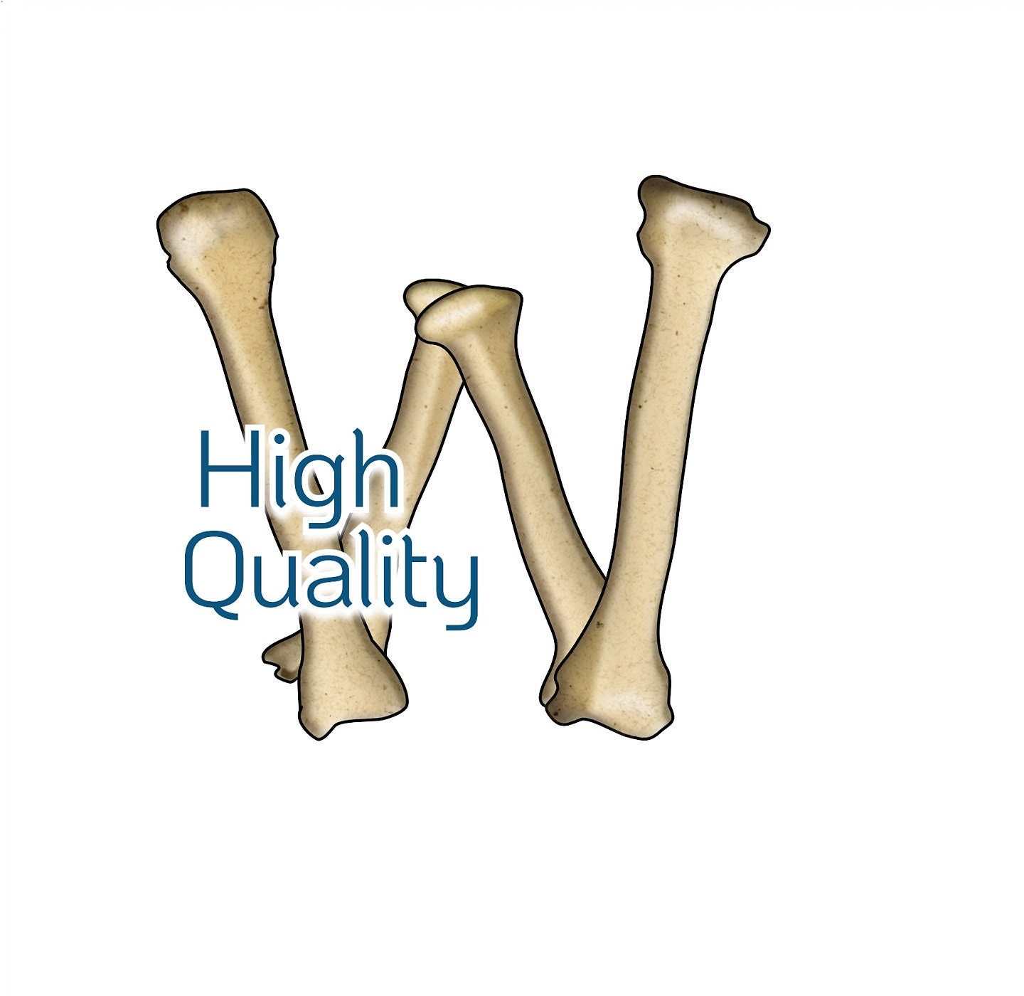 Halloween Bones Alphabet, Bone Letters, Doodle Letter PNG, Halloween ...