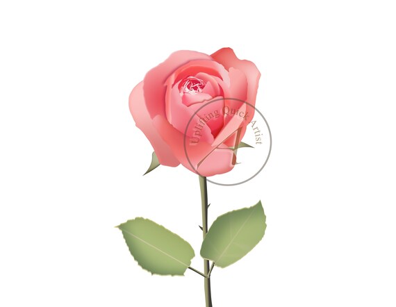 Pink Rose Rose Sublimation PNG SVG Digital Artwork - Etsy