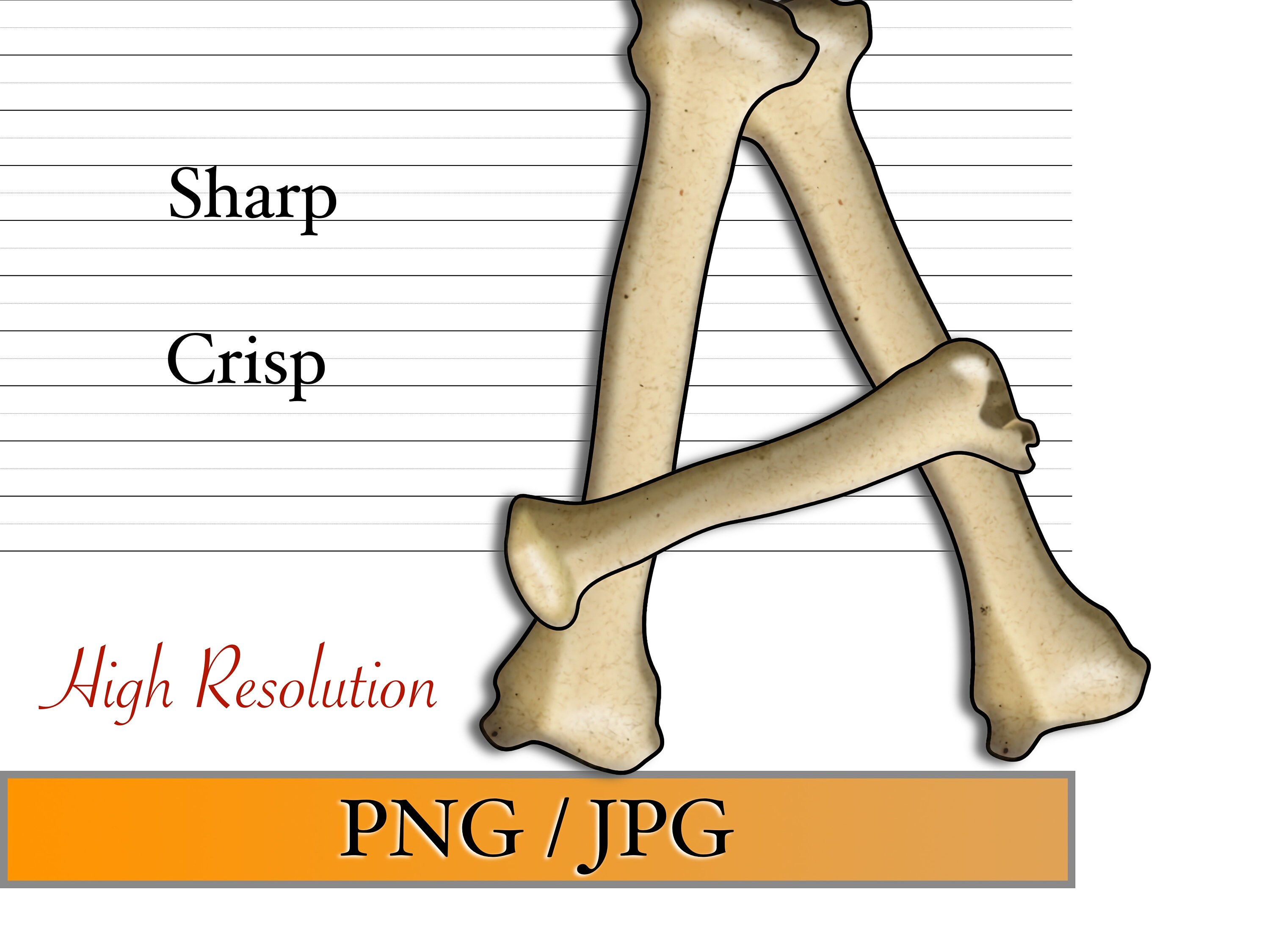 Halloween Bones Alphabet, Bone Letters, Doodle Letter PNG, Halloween ...