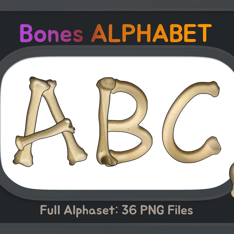 Bone Alphabet - Etsy