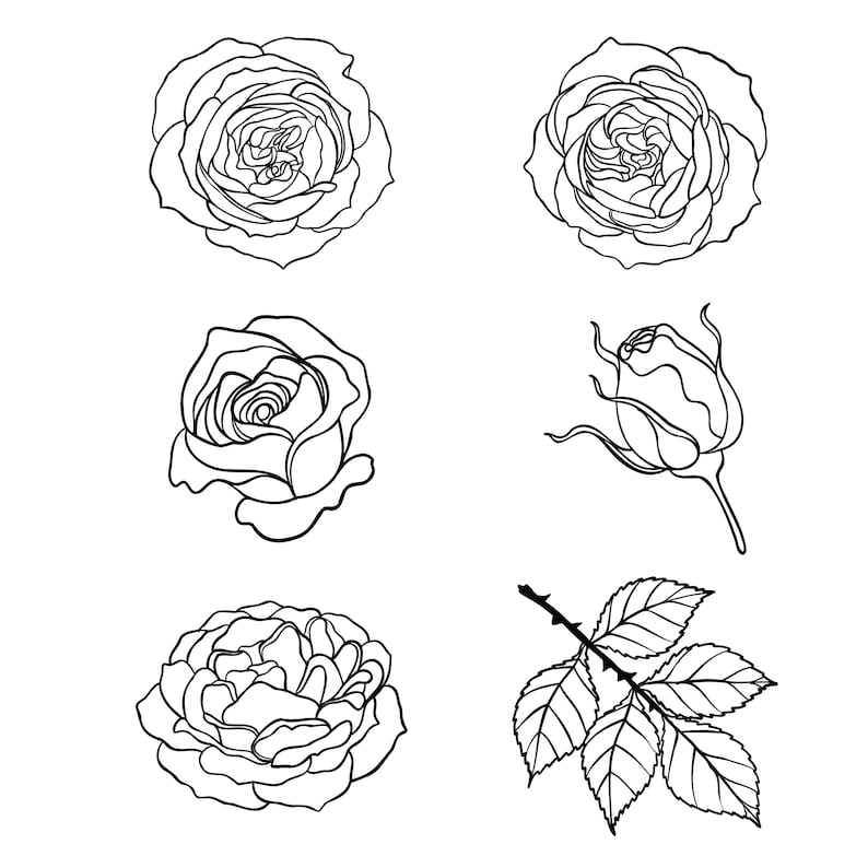 Roos svg rose tekening svg roos tattoo ontwerp rose lijn - Etsy Nederland