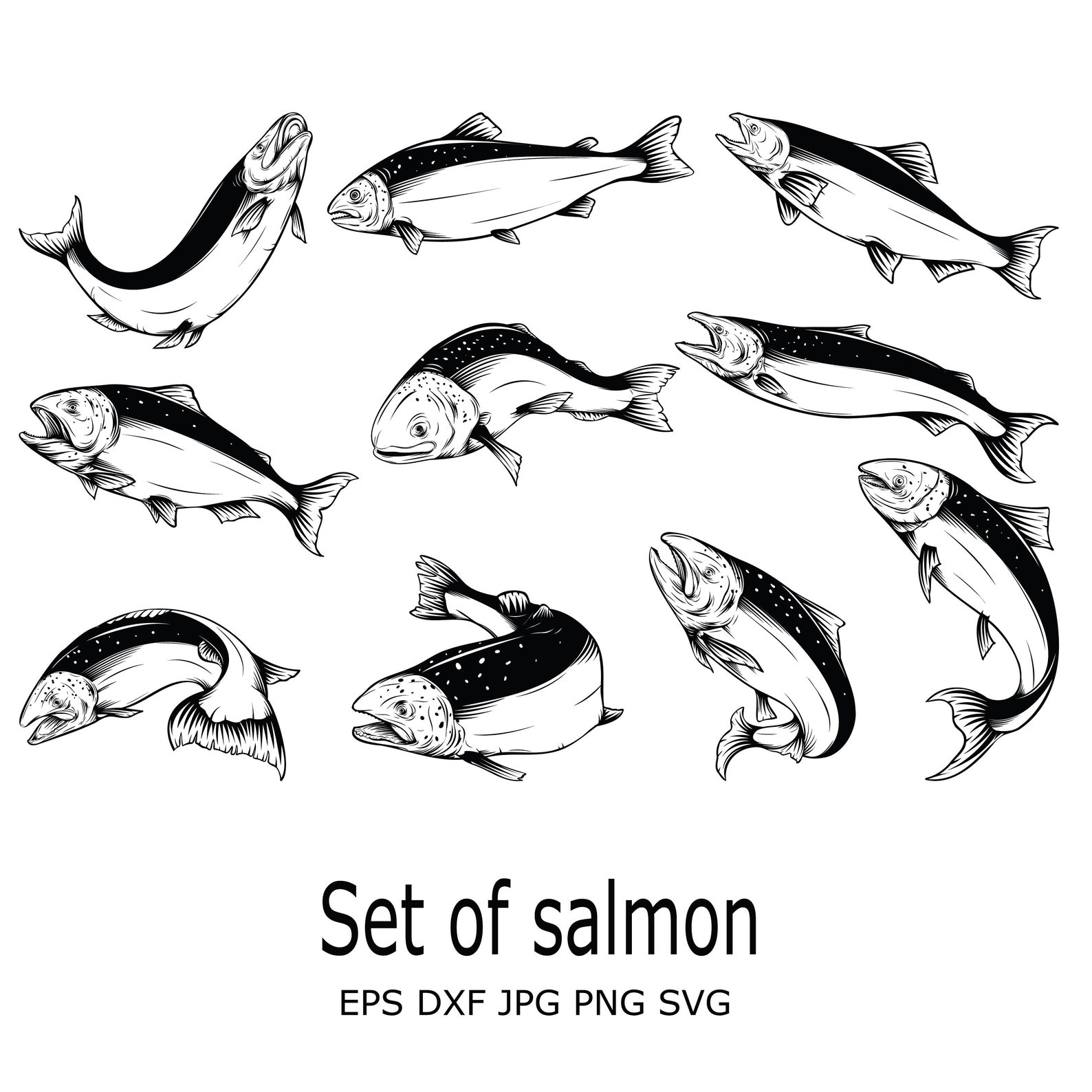 Salmon Sublimation eps dxf svg png jpg Digital Download | Etsy