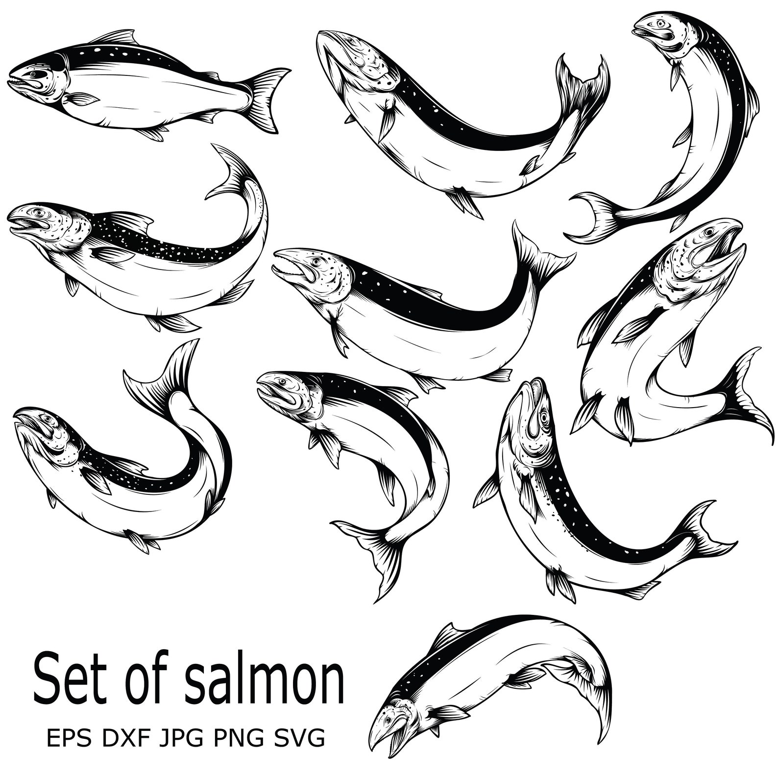 Salmon sublimation eps dxf svg png jpg digital download | Etsy