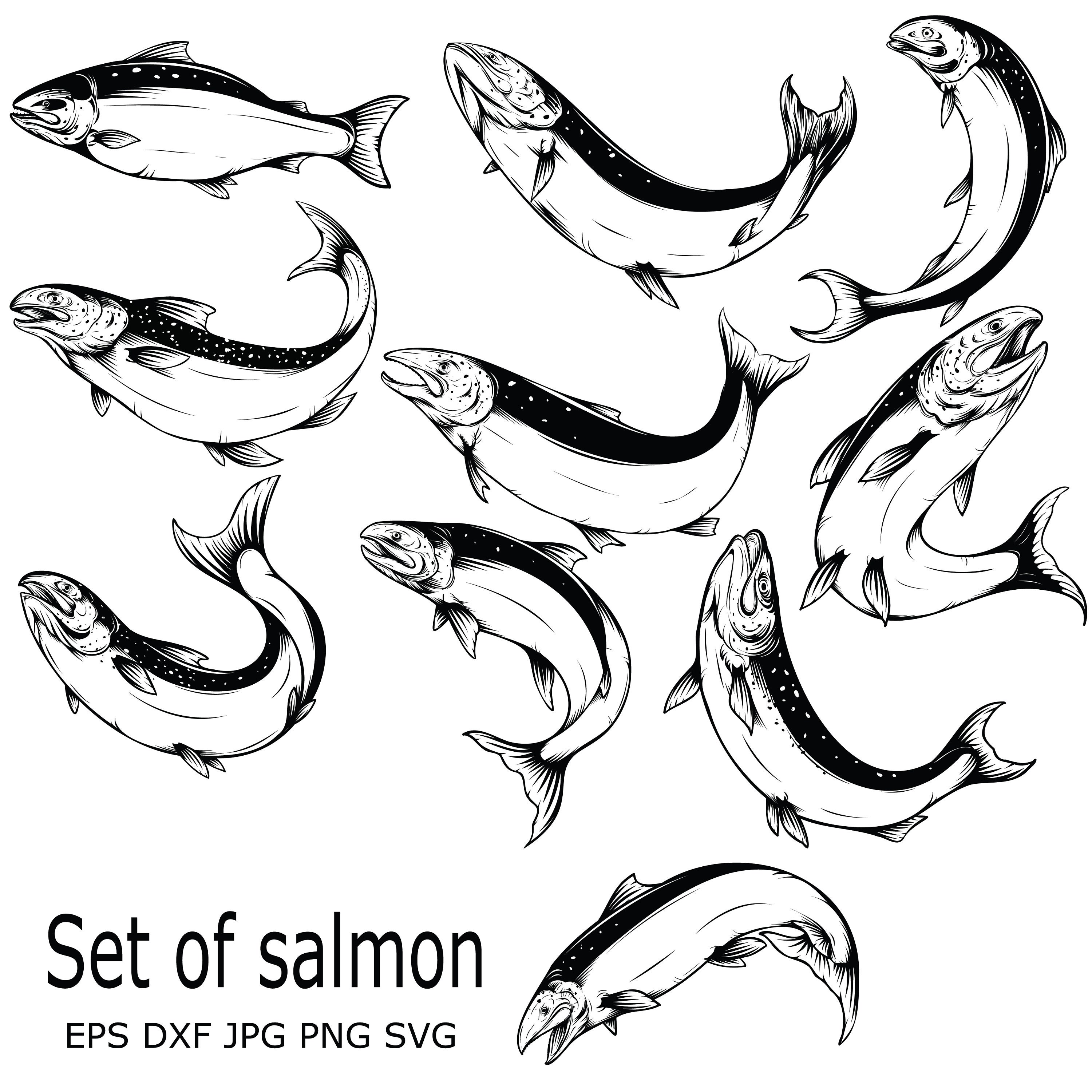 Salmon sublimation eps dxf svg png jpg digital download | Etsy
