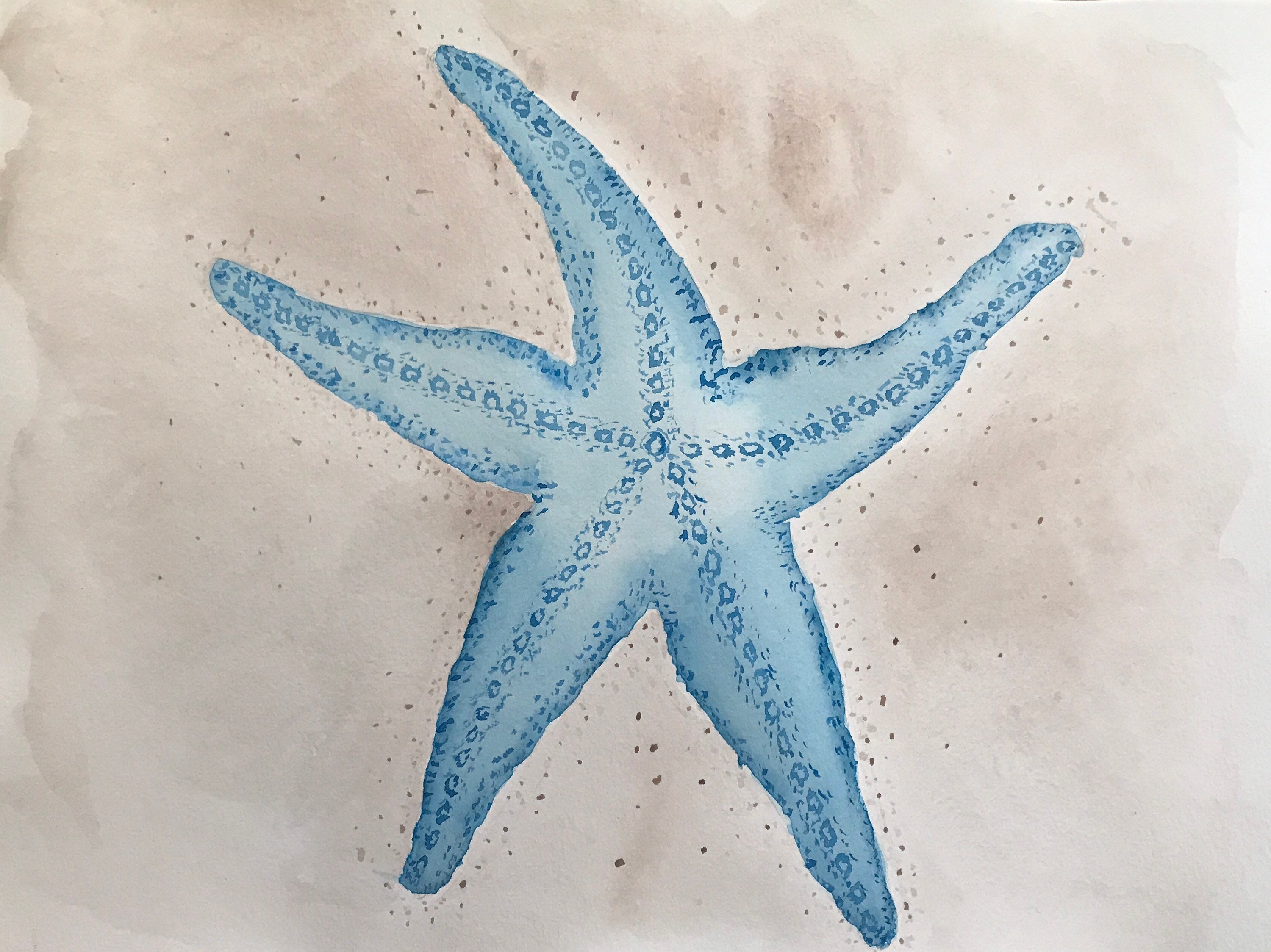 Blue Starfish Drawing