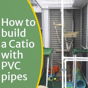 Catio With PVC Pipes, Outdoor Cat Enclosure, Cat Catio Plans, Catio ...