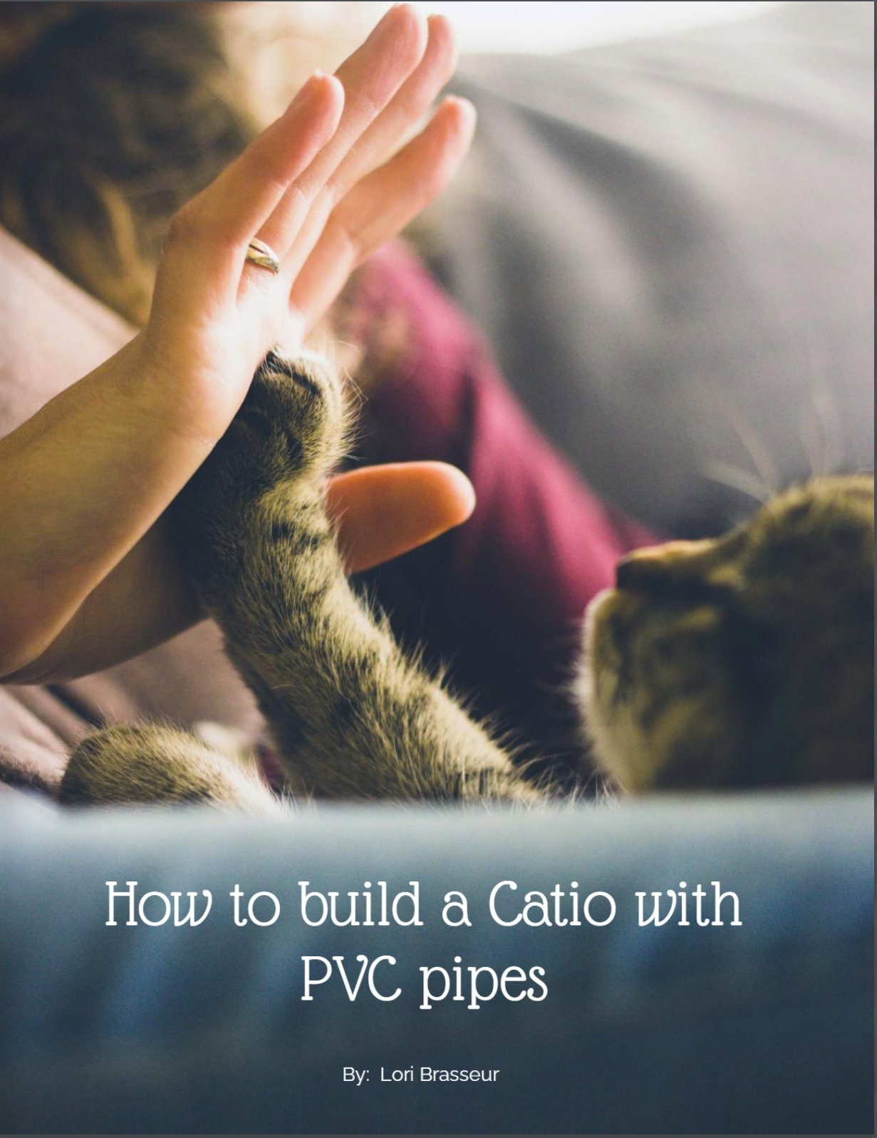 How to Build a Catio or Outdoor Enclosure With PVC Pipes - Etsy Canada