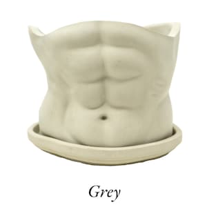 Abs Planter/torso/naked Body Planter/naked Man Décor/cement Planters ...