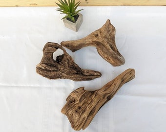 Reptile Log Hide - Etsy