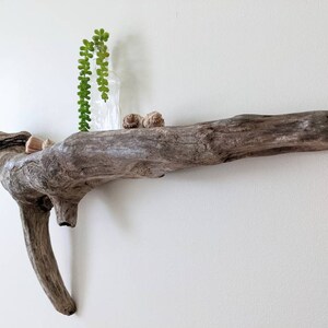 S122 32" Large Driftwood Floating Wood Shelf,natural Accent Shelf for ...