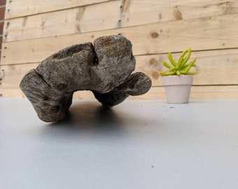 Reptile Log Hide - Etsy