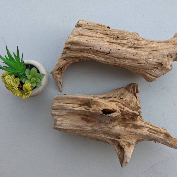 Driftwood Stump - Etsy