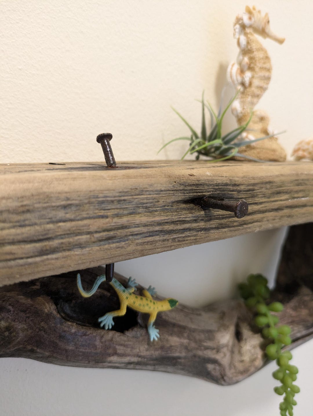 S188 20 1/2" Driftwood Floating Shelf, Rustic Nautical/coastal/lake ...