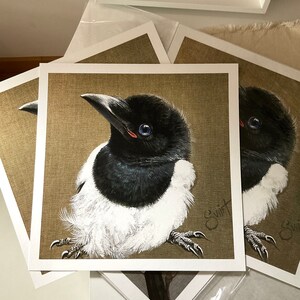 Magpie Print, Cute Magpie Baby Bird, Giclee Bird Print, Magpies Art ...