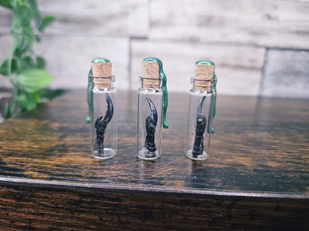 Crow Claw Talon Vial, Curio Specimen, Witchy Oddities - Etsy UK