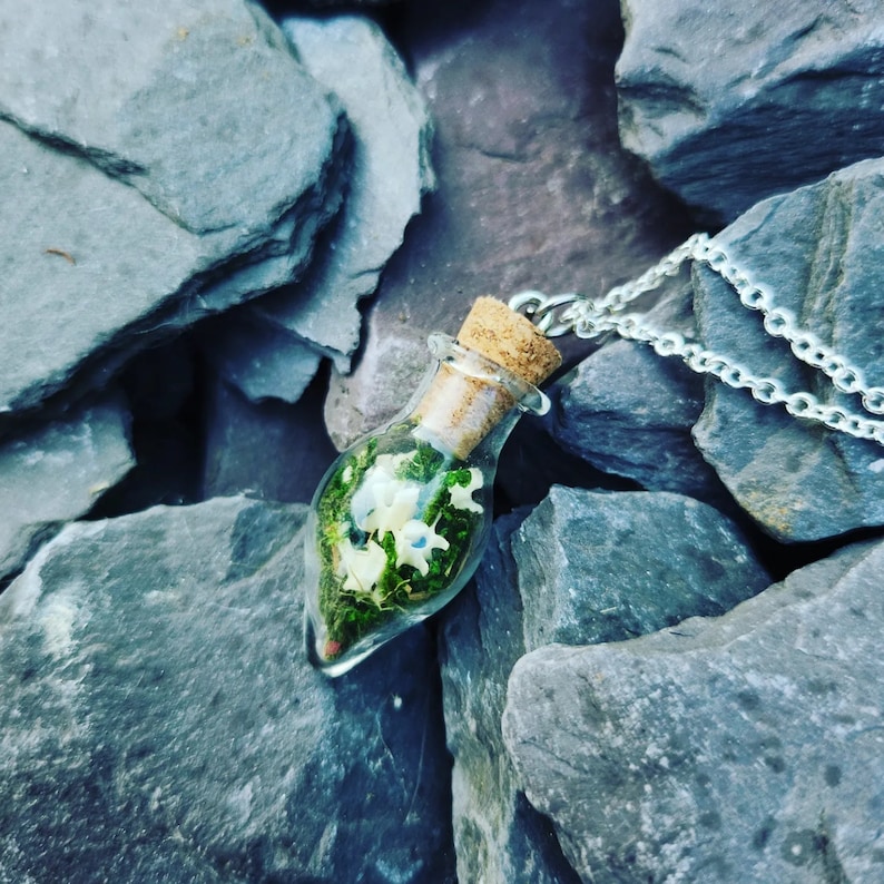 Mouse Vertebrae Vial Necklace..curio Oddities Witchy Taxidermy Pagan ...
