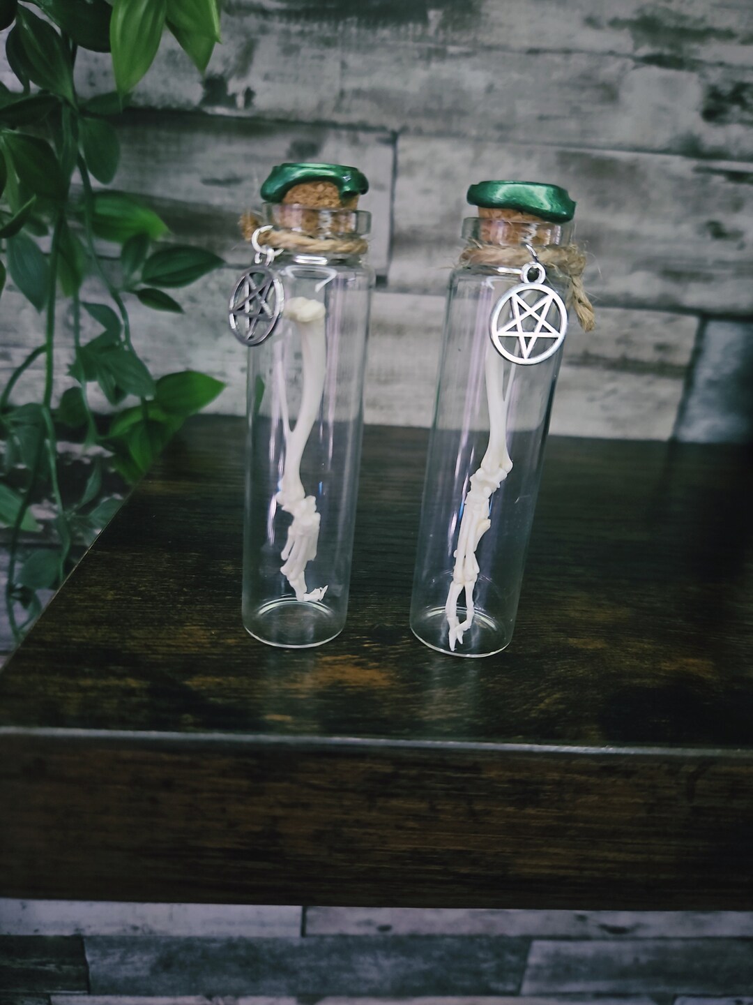 Skeletal Rat Legs. Curio Oddities Witchy Taxidermy Witchy Pagan ...